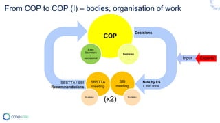 5. CBD decision-making process from COP to COP - Hendrik Segers.pptx