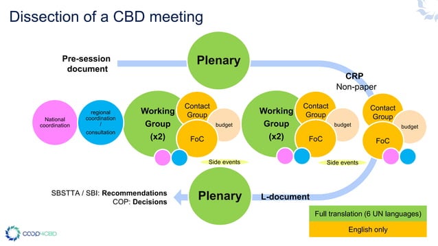 5. CBD decision-making process from COP to COP - Hendrik Segers.pptx