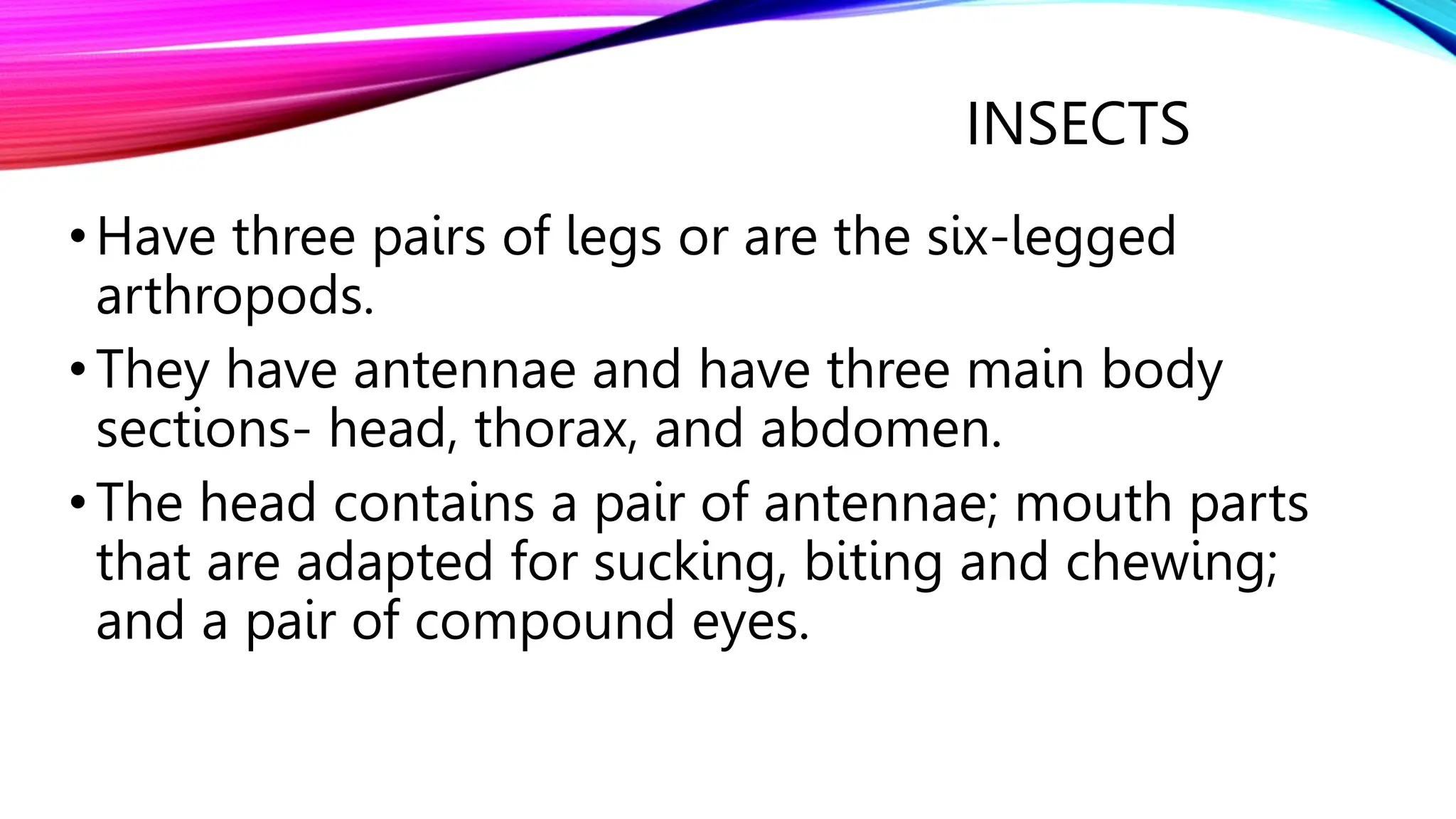 Classifying invertebrates and vertebrates in Science 6 | PPTX
