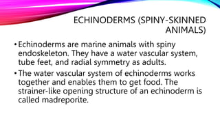 Classifying invertebrates and vertebrates in Science 6 | PPTX