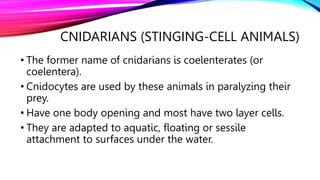 Classifying invertebrates and vertebrates in Science 6 | PPTX