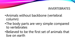 Classifying invertebrates and vertebrates in Science 6 | PPTX
