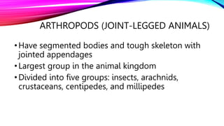 Classifying invertebrates and vertebrates in Science 6 | PPTX