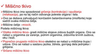 5.Tkiva.pptx