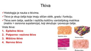 5.Tkiva.pptx