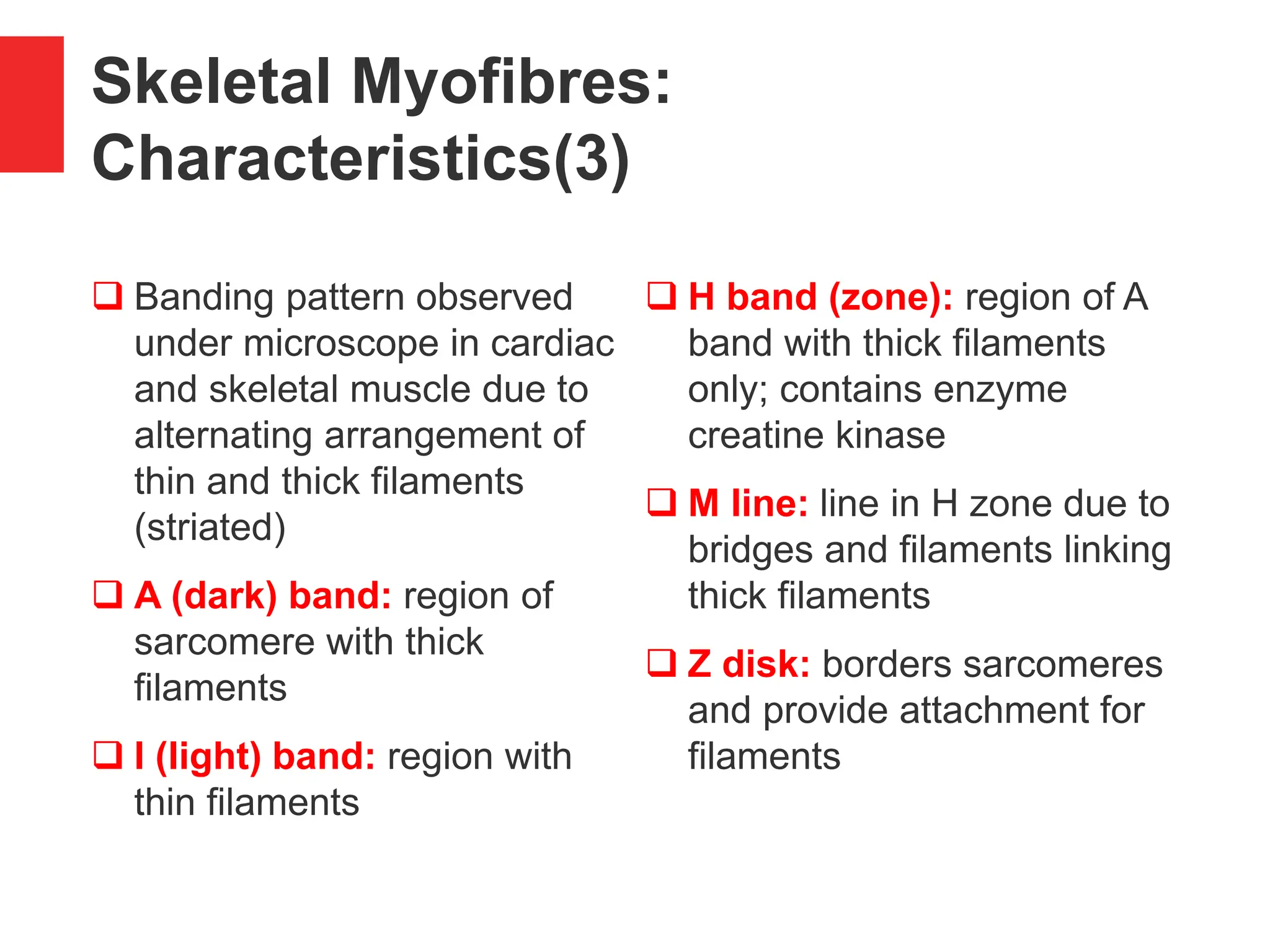 5.Muscle tissue.pptx cell and tissue organization | PPTX