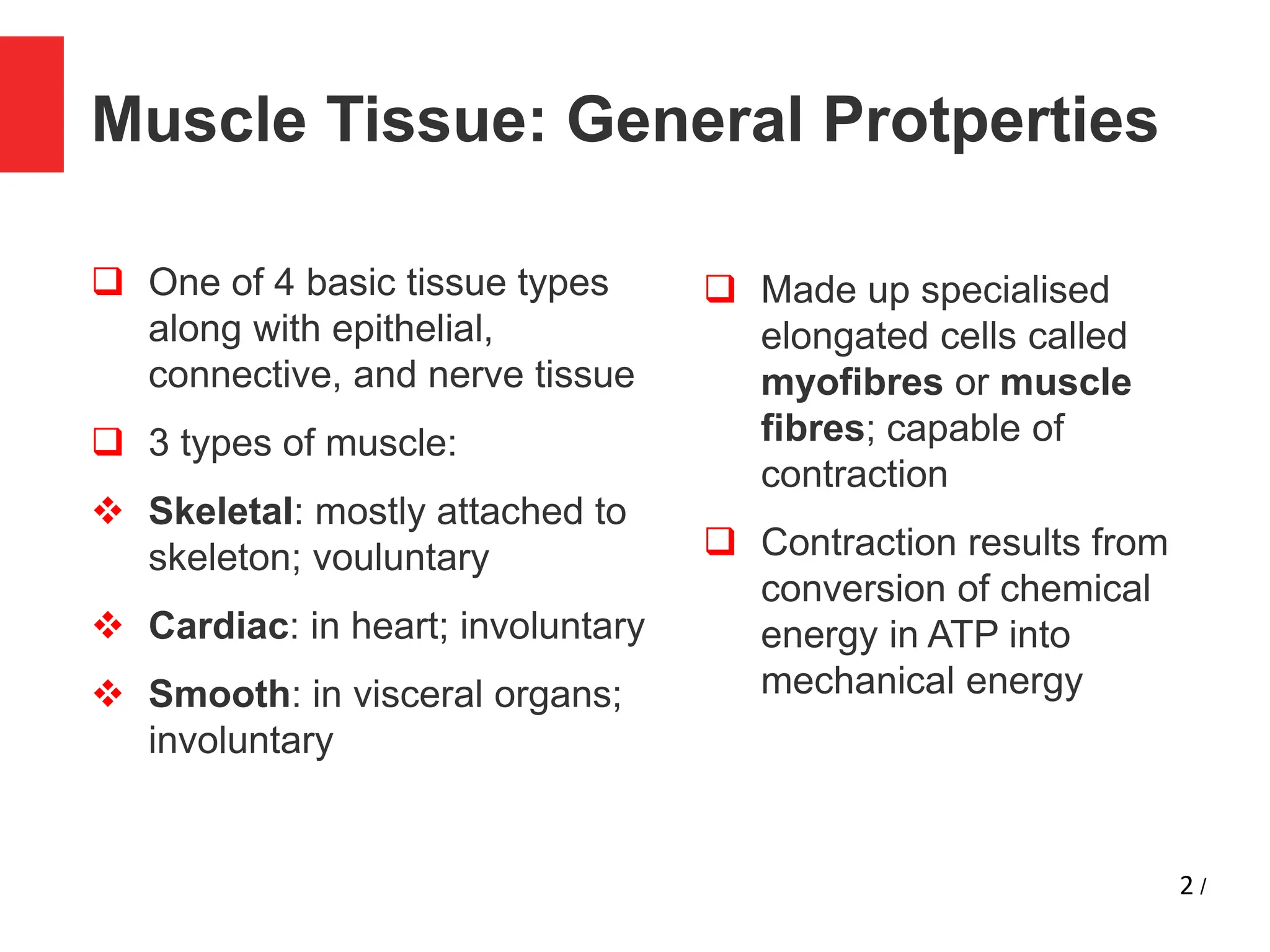 5.Muscle tissue.pptx cell and tissue organization | PPTX