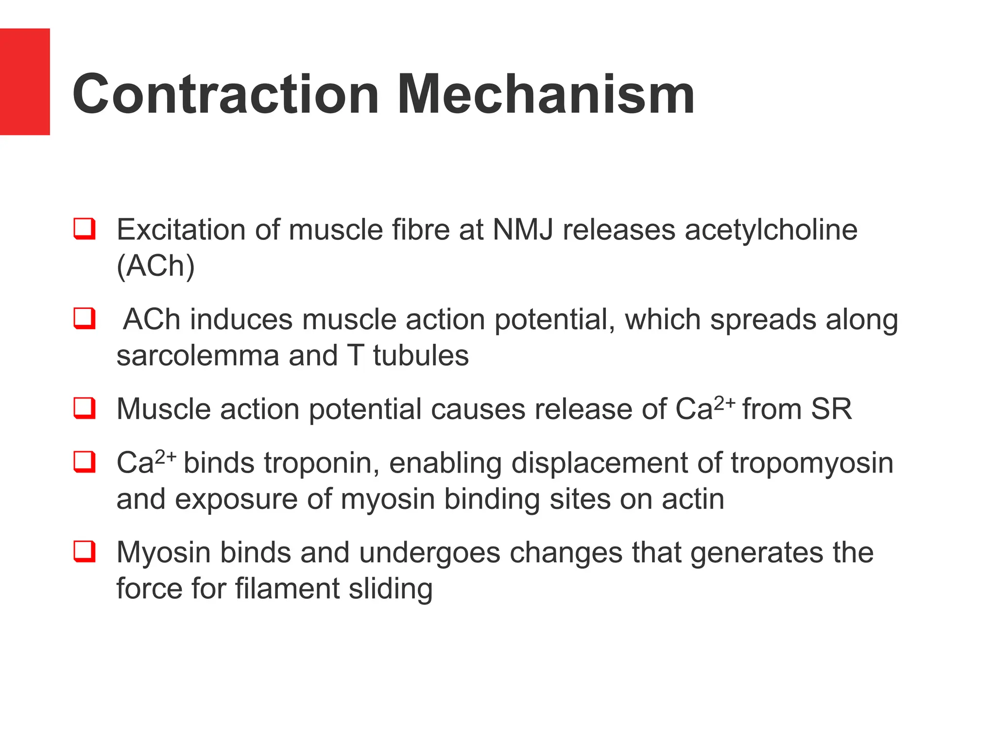 5.Muscle tissue.pptx cell and tissue organization | PPTX