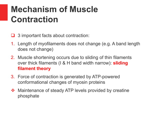 5.Muscle tissue.pptx cell and tissue organization | PPT