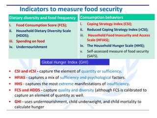 5.WFP_IndicatorsFSandNutIntegration.pdf