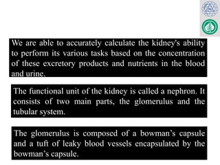 5. Renal Function Tests.pptx