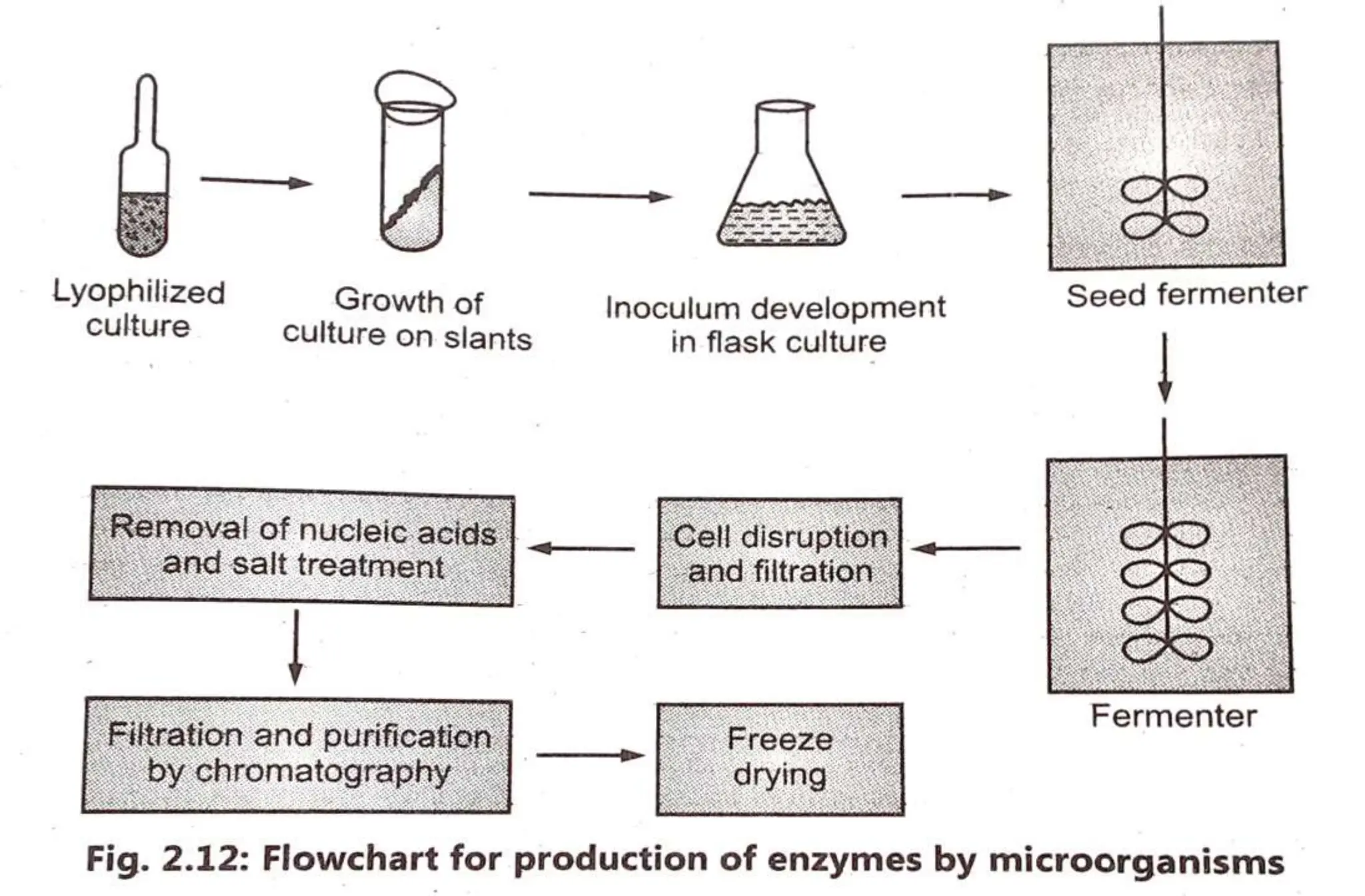 5. Production of enzyme in biotechnolgy.pptx