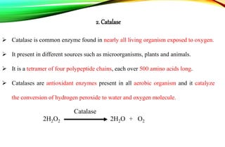 5. Production of enzyme in biotechnolgy.pptx