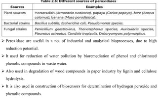 5. Production of enzyme in biotechnolgy.pptx