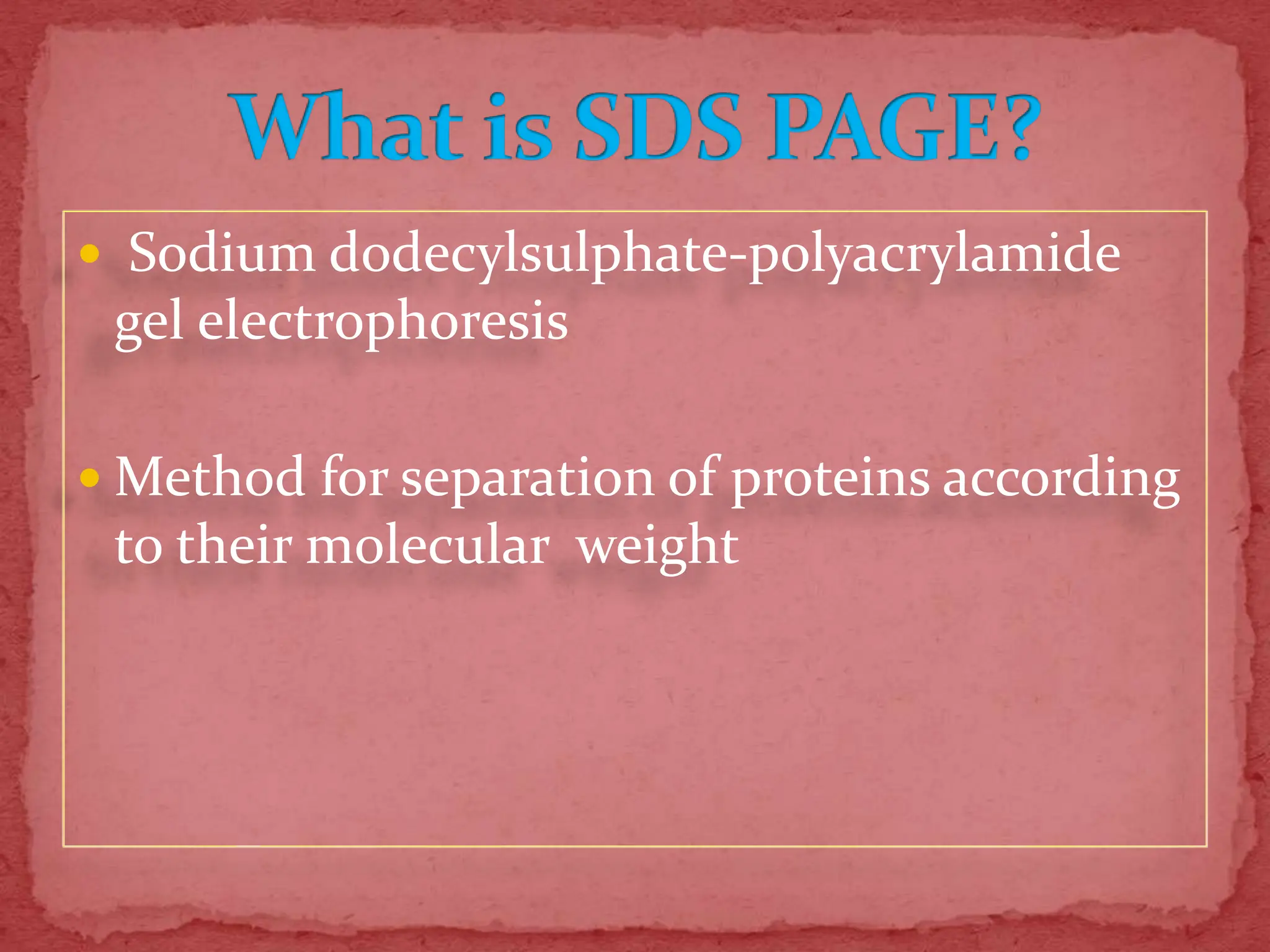 SDS PAGE SLIDESHOW POWERPOINT. SSSSSSSSS | PPT