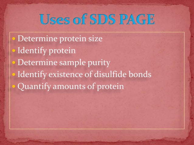 SDS PAGE SLIDESHOW POWERPOINT. SSSSSSSSS | PPT
