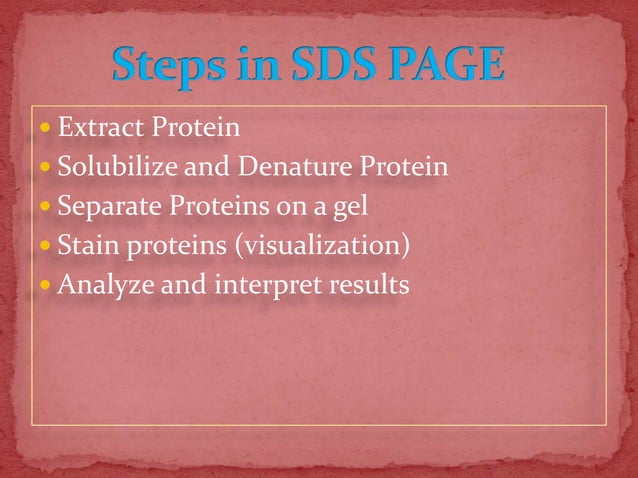 SDS PAGE SLIDESHOW POWERPOINT. SSSSSSSSS | PPT