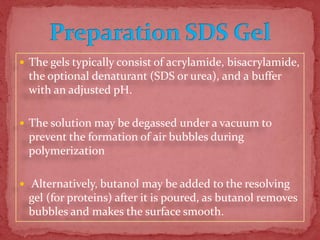 SDS PAGE SLIDESHOW POWERPOINT. SSSSSSSSS | PPT