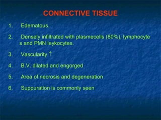 المحاضره 5 د اسماء.pdf periodontal tissues | PDF