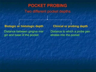 المحاضره 5 د اسماء.pdf periodontal tissues | PDF