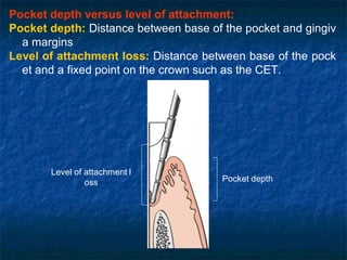 المحاضره 5 د اسماء.pdf periodontal tissues | PPT