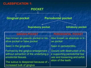 المحاضره 5 د اسماء.pdf periodontal tissues | PDF