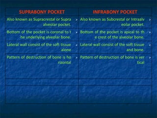 المحاضره 5 د اسماء.pdf periodontal tissues | PDF