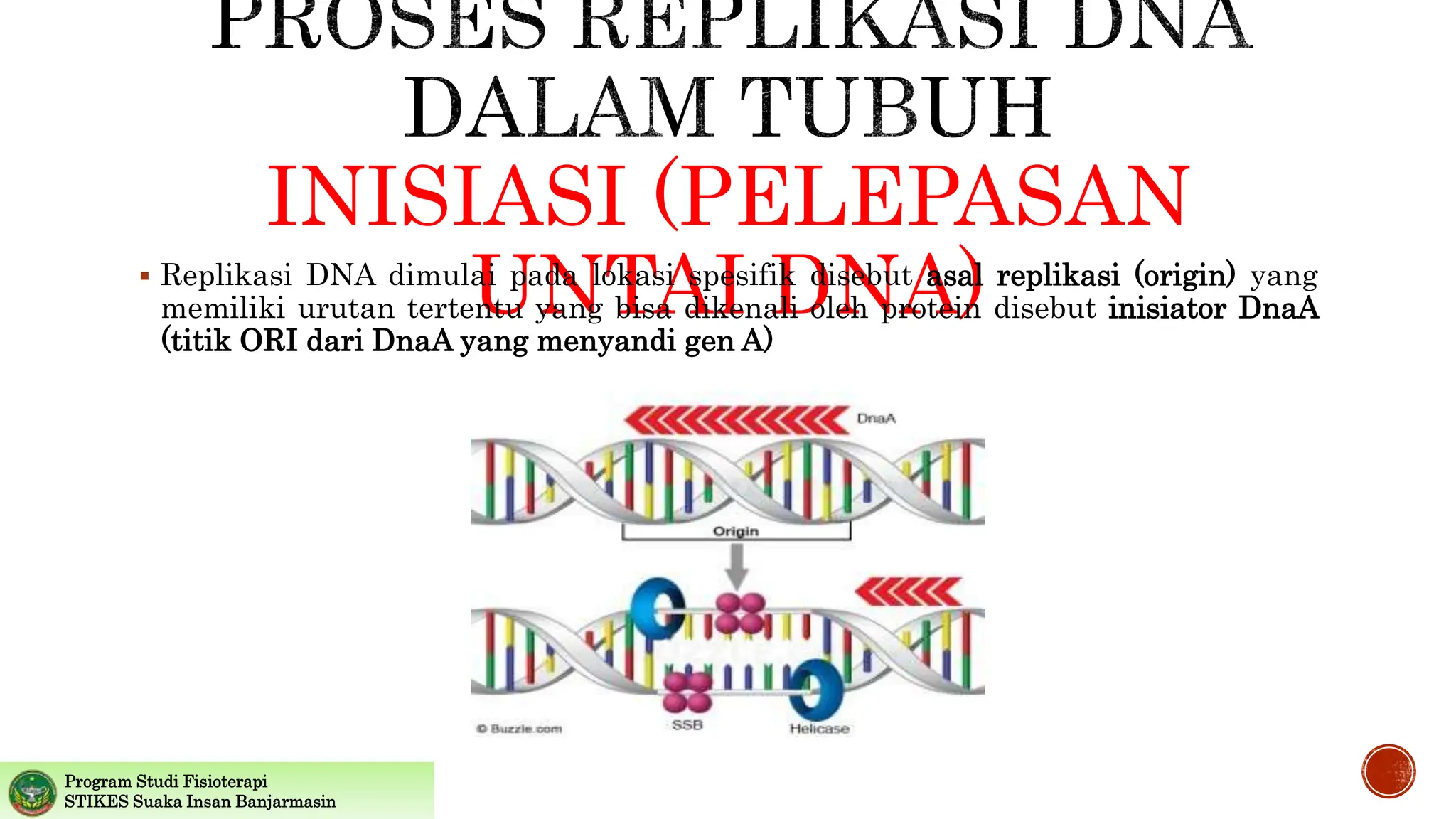MATERI BIOLOGI MOLEKULER - REPLIKASI DNA & EKSPRESI GEN.pptx