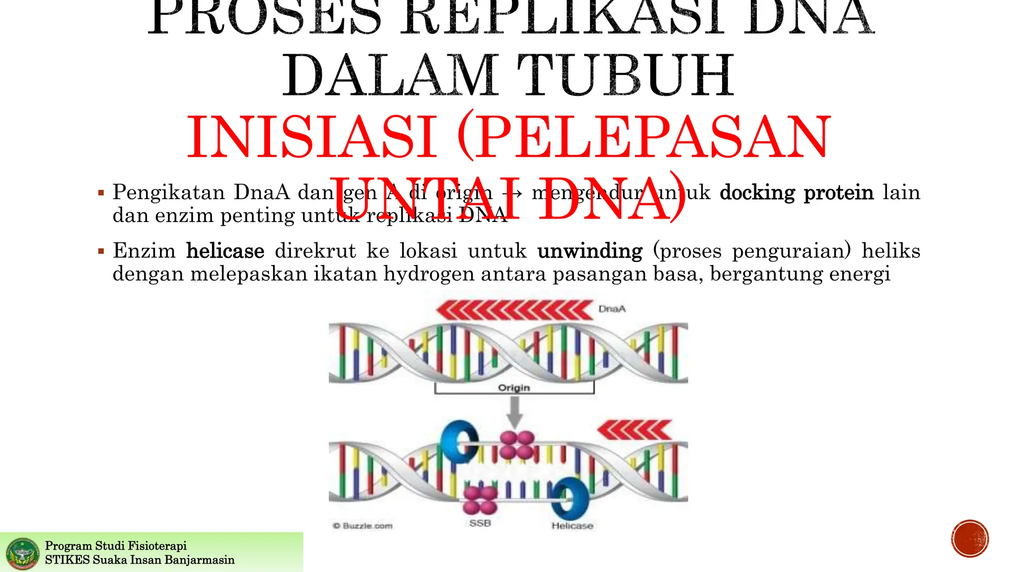 MATERI BIOLOGI MOLEKULER - REPLIKASI DNA & EKSPRESI GEN.pptx