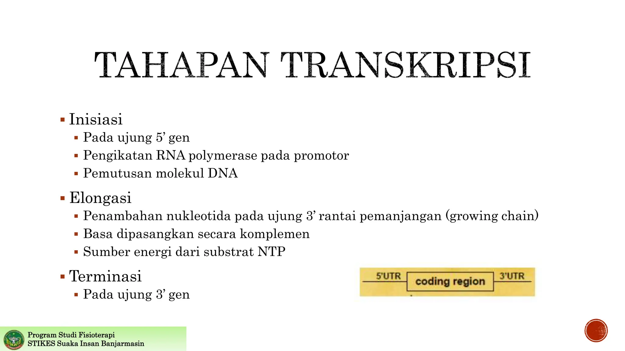 MATERI BIOLOGI MOLEKULER - REPLIKASI DNA & EKSPRESI GEN.pptx