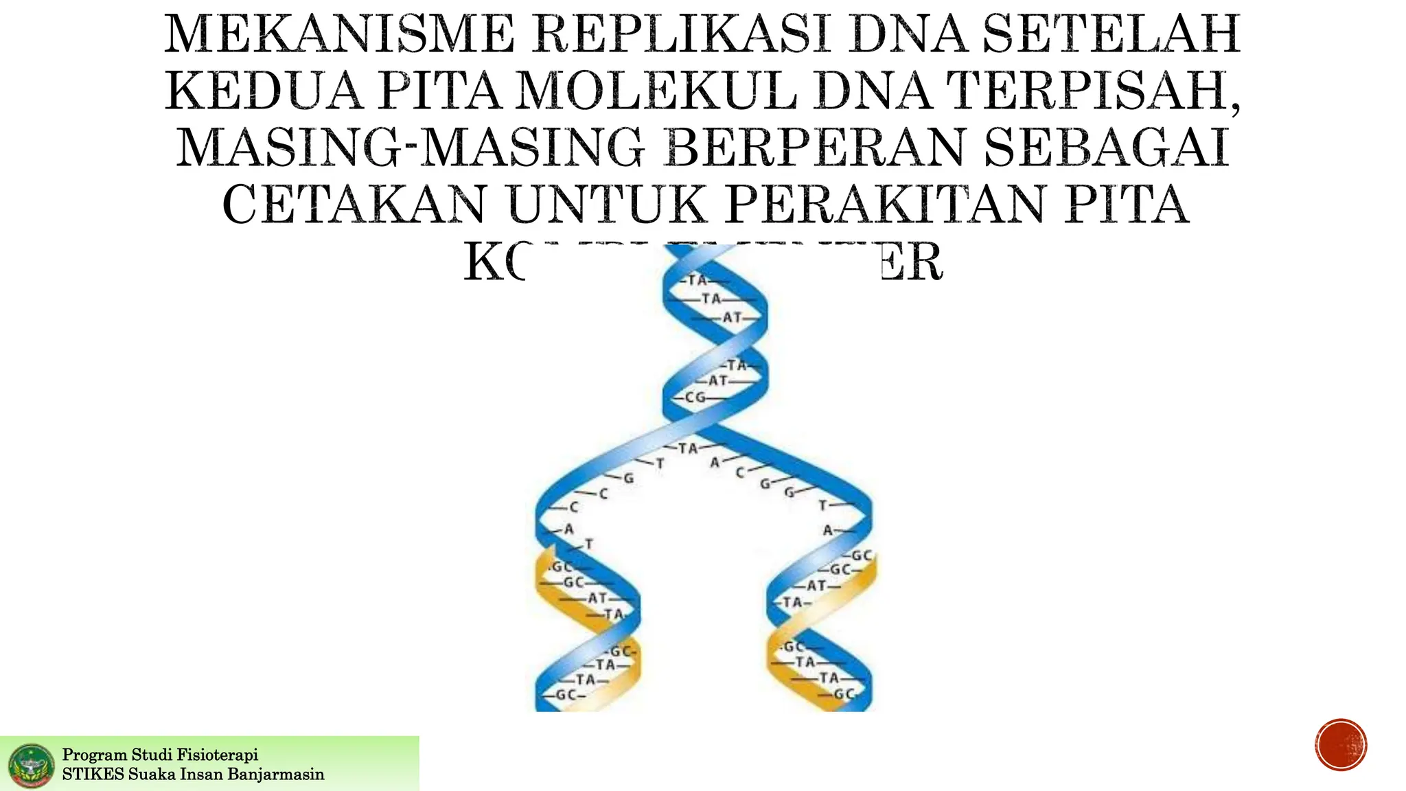 MATERI BIOLOGI MOLEKULER - REPLIKASI DNA & EKSPRESI GEN.pptx