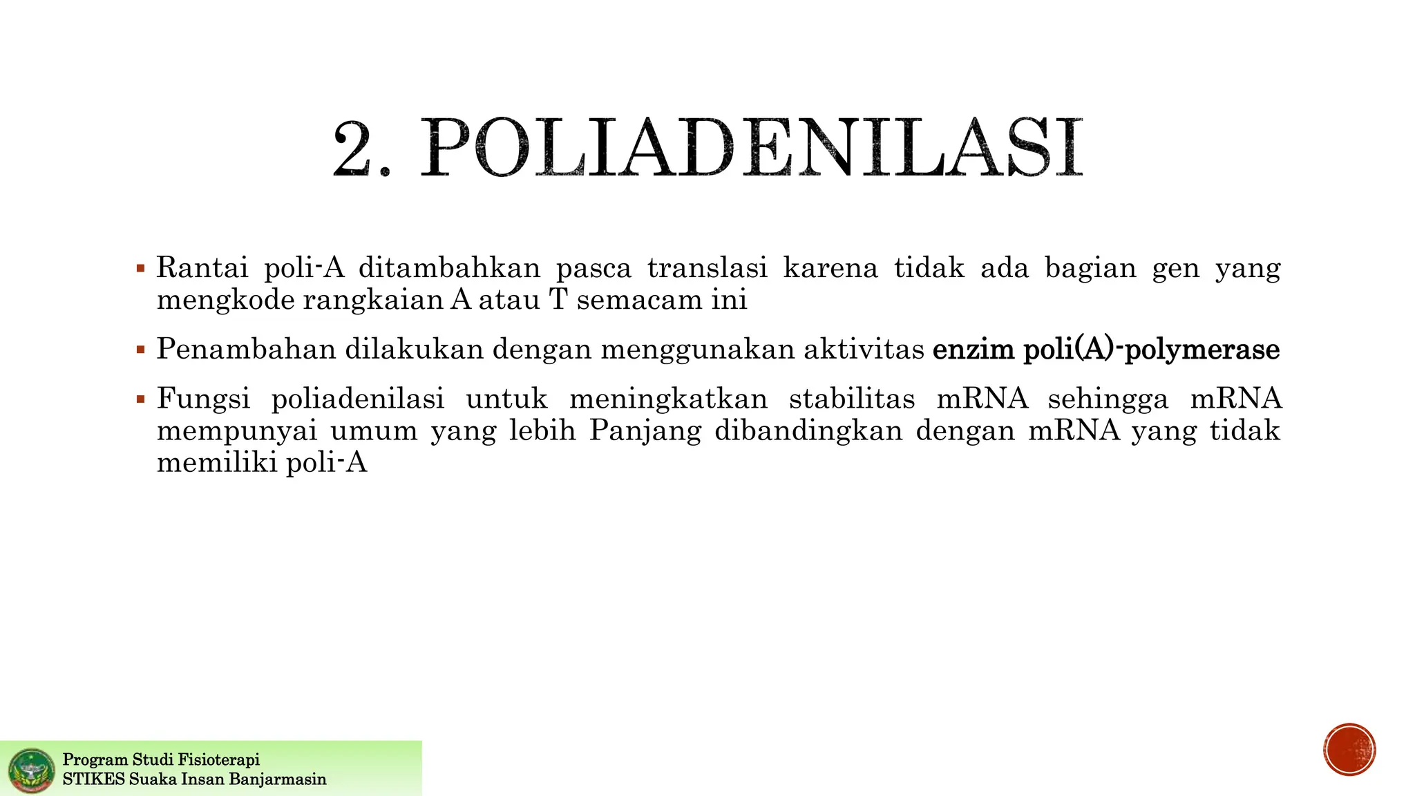 MATERI BIOLOGI MOLEKULER - REPLIKASI DNA & EKSPRESI GEN.pptx