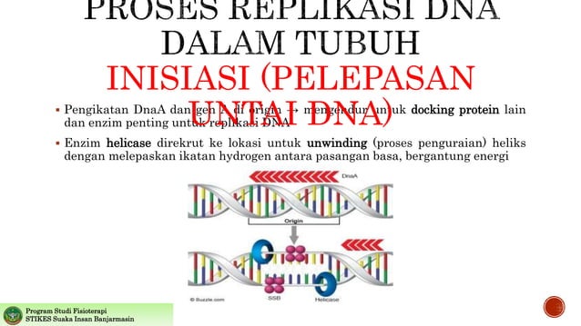 MATERI BIOLOGI MOLEKULER - REPLIKASI DNA & EKSPRESI GEN.pptx