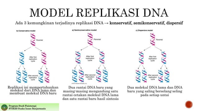 MATERI BIOLOGI MOLEKULER - REPLIKASI DNA & EKSPRESI GEN.pptx