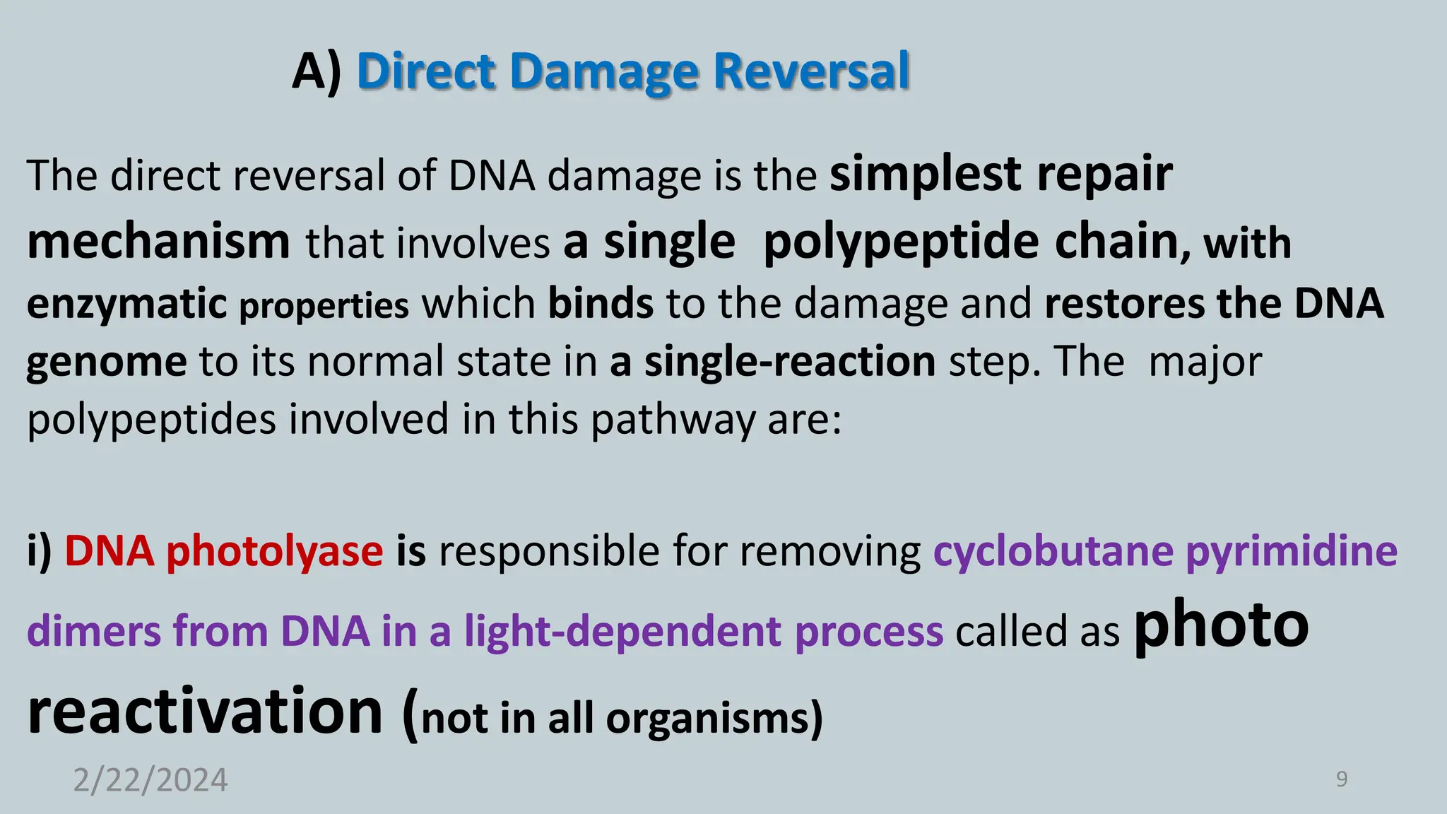 DNA damage and repair mechanism | PPTX