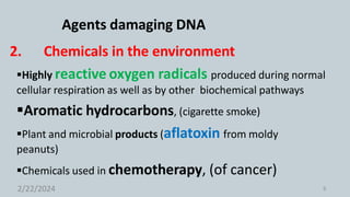 DNA damage and repair mechanism | PPTX