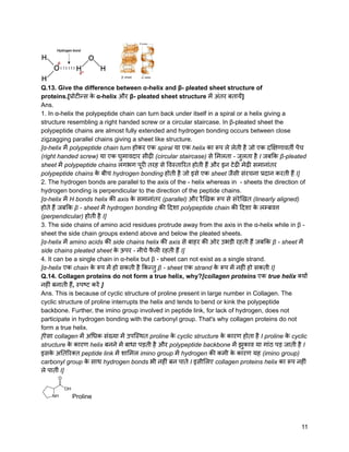 Some Q & A Proteins | IGNOU Biochemistry CHE-09 (in English /Hinglish) | PDF