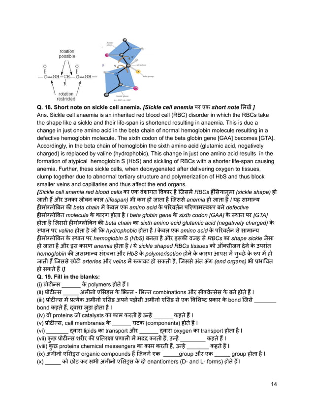 Some Q & A Proteins | IGNOU Biochemistry CHE-09 (in English /Hinglish) | PDF