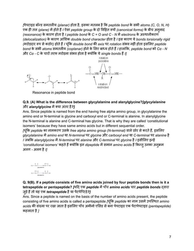 Some Q & A Proteins | IGNOU Biochemistry CHE-09 (in English /Hinglish) | PDF
