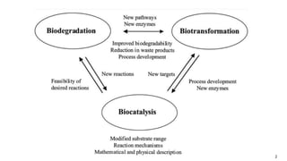 5. Microbial transformation of recalcitrant chemicals.ppt