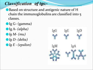 5.ANTIBODY STRUCTURE AND FUNCTION (1).pptx