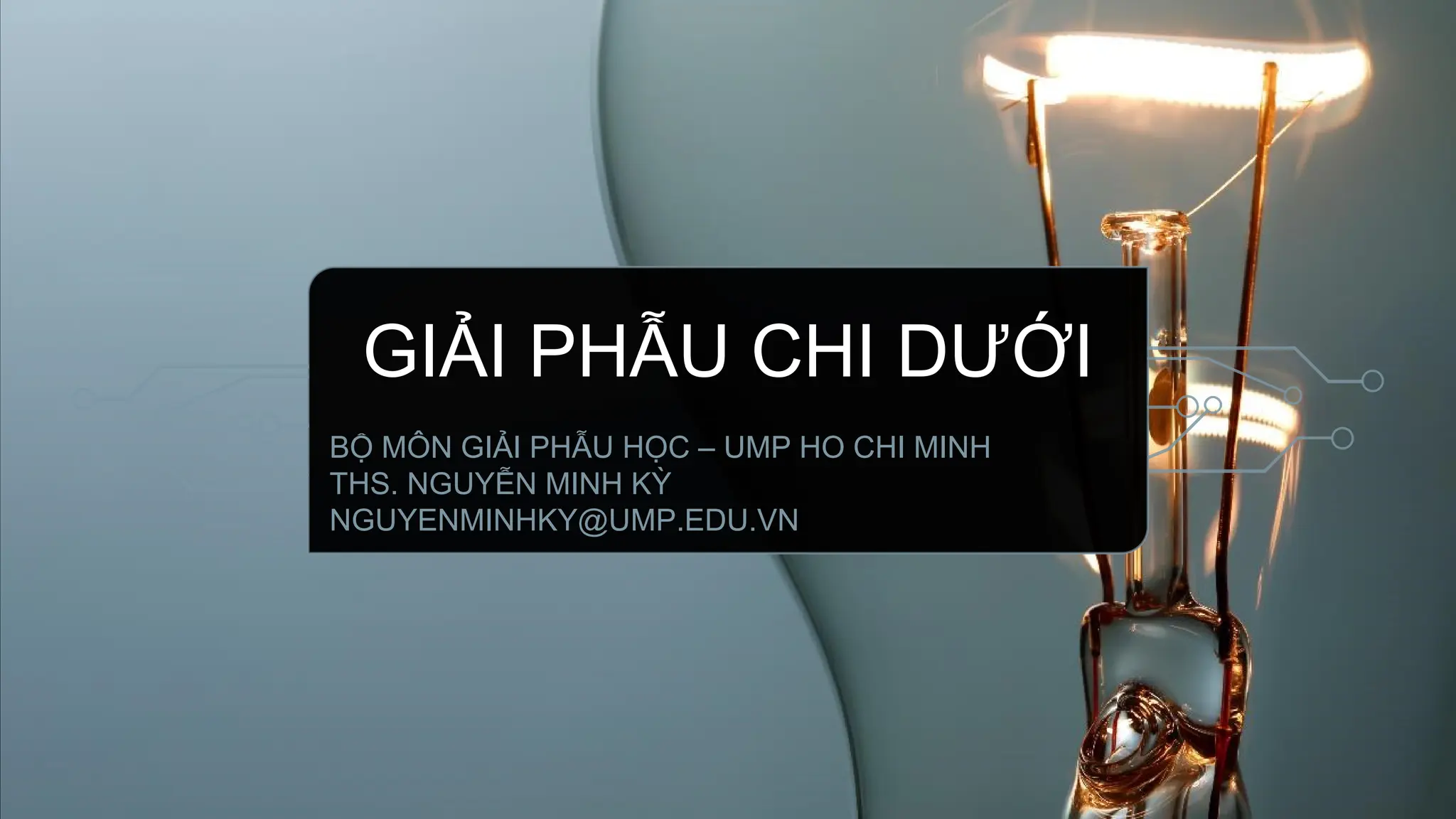Giải phẫu chi dưới anatomy of lower limb. | PDF