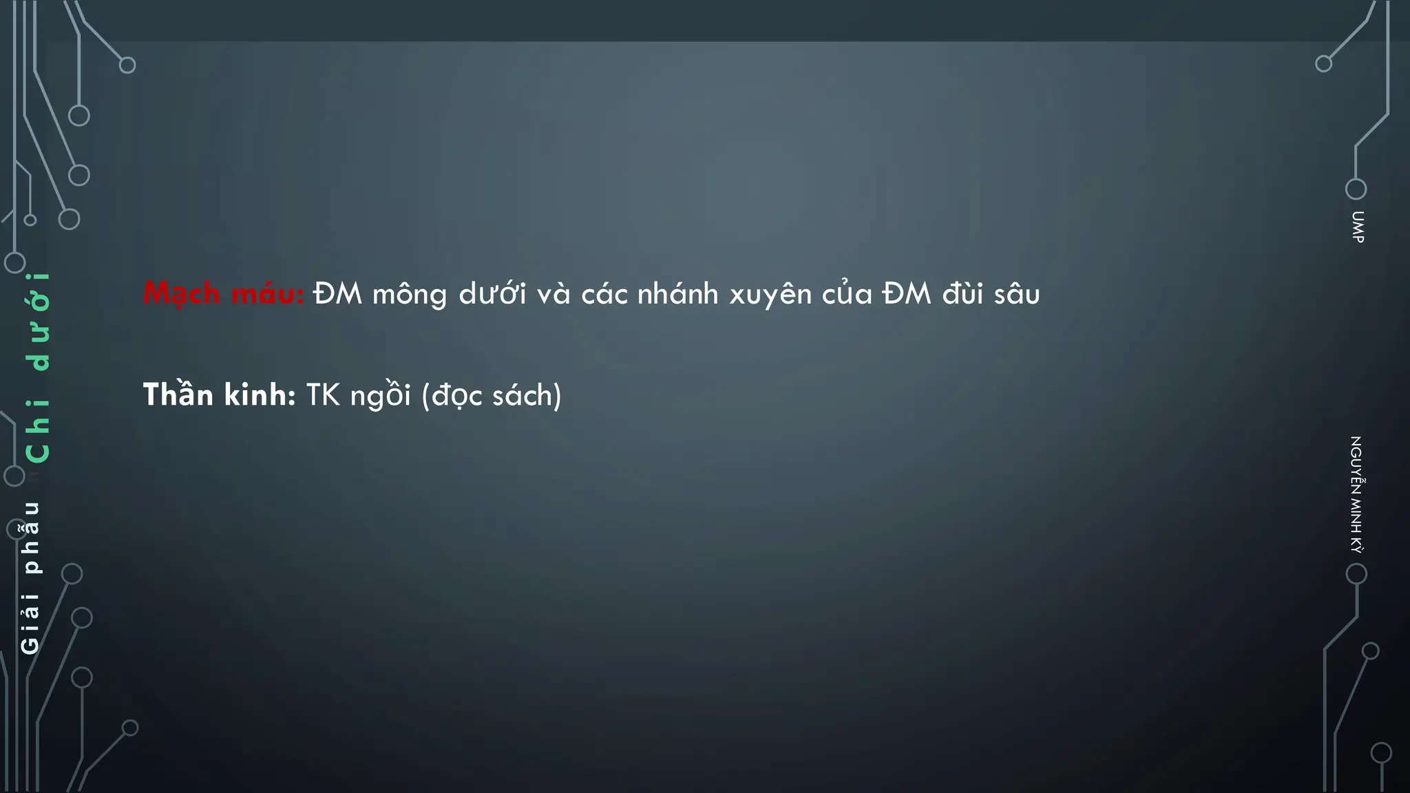 Giải phẫu chi dưới anatomy of lower limb. | PDF