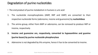 Nucleotide metabolism .biochemistry lecture | PPTX