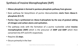 Nucleotide metabolism .biochemistry lecture | PPTX