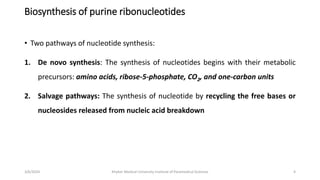 Nucleotide metabolism .biochemistry lecture | PPT