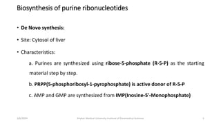 Nucleotide metabolism .biochemistry lecture | PPT