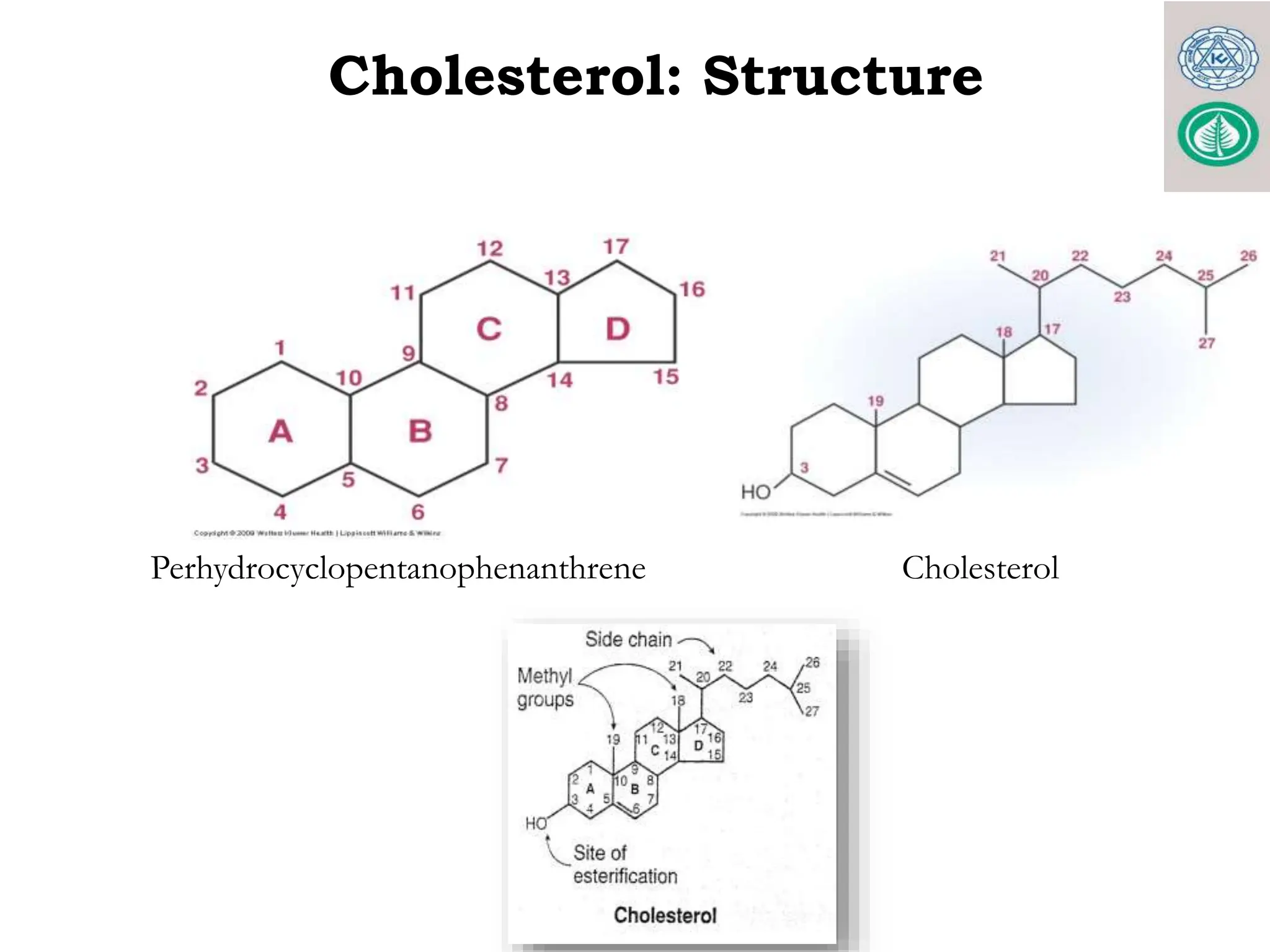 Cholesterol Biosynthesis and catabolism for MBBS, Lab. MEd. BDS.pptx