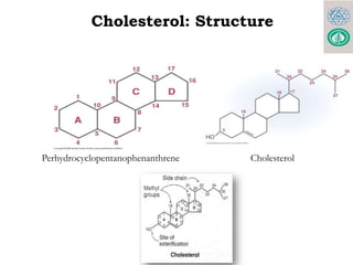 Cholesterol Biosynthesis and catabolism for MBBS, Lab. MEd. BDS.pptx