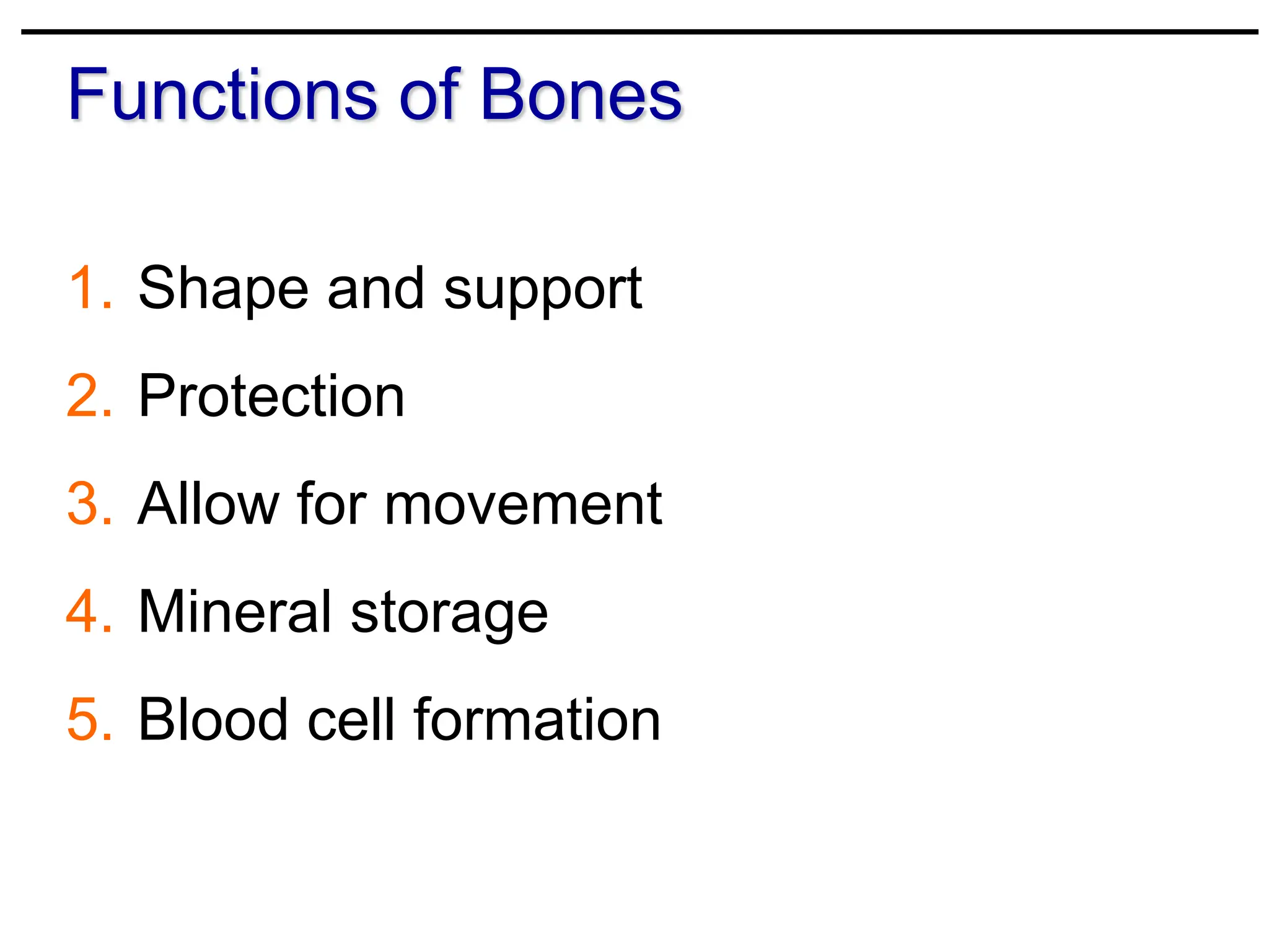 THE SKELETAL SYSTEM - The functions of bone Classification and structures of bones Axial ...